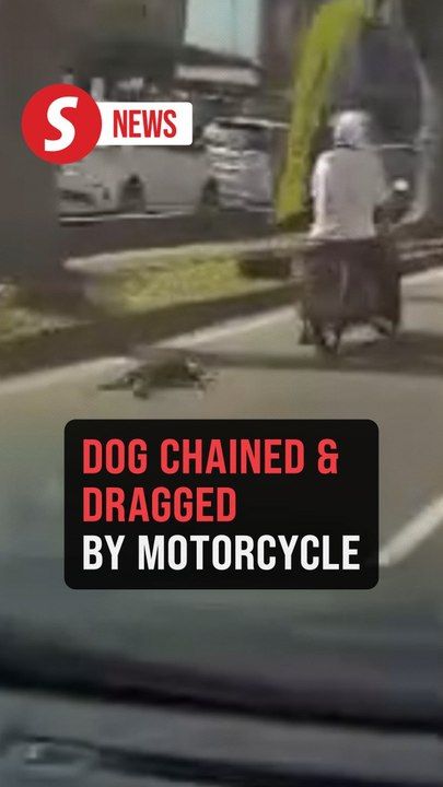 Biker seen dragging dog by chain in viral video | TheStarTV.com