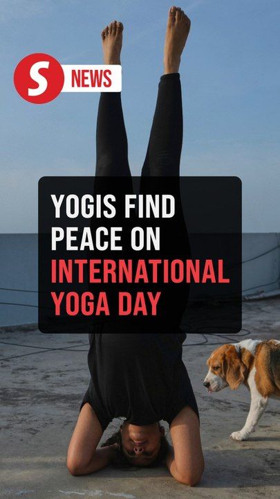 Yogis find peace on International Yoga Day | TheStarTV.com