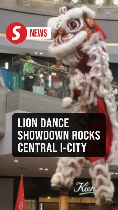 Battle of the Lions: Showdown at 3rd Acrobatic Lion Dance Championship ...