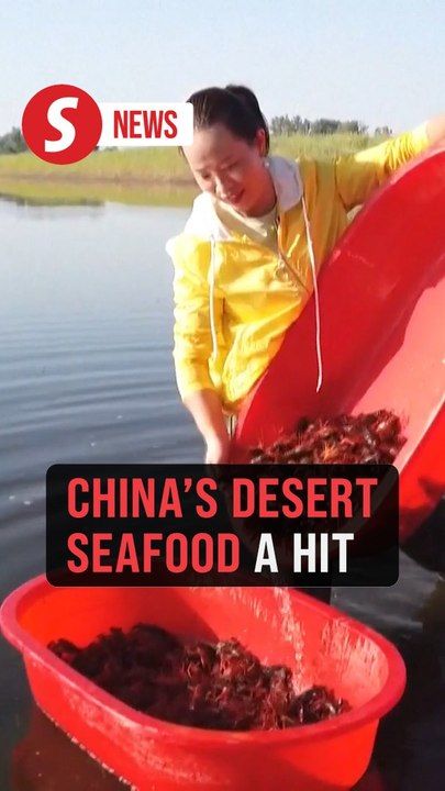 'Desert seafood' a hit in China | TheStarTV.com