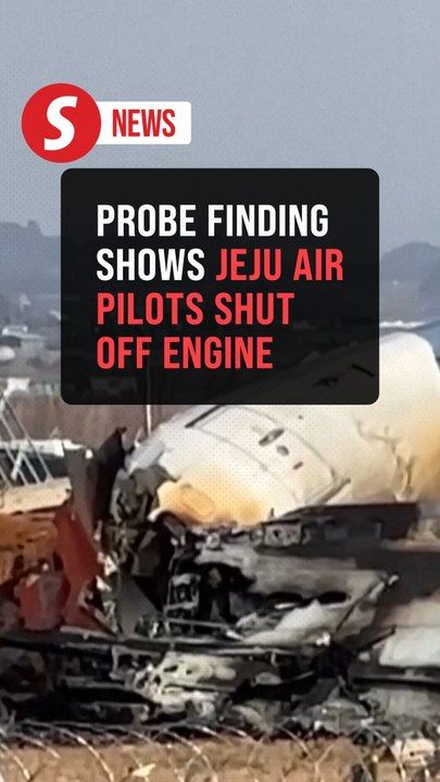 Evidence shows Jeju Air pilots shut off engine before crash, objected by victims' families ...