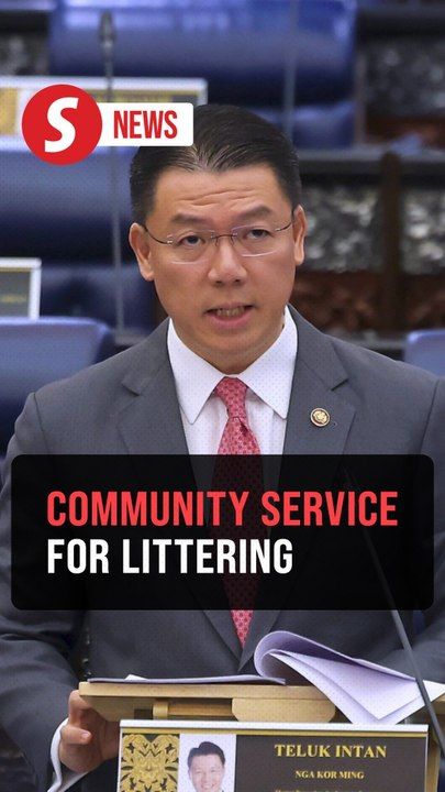 Amendments to act to introduce community service for littering offences ...