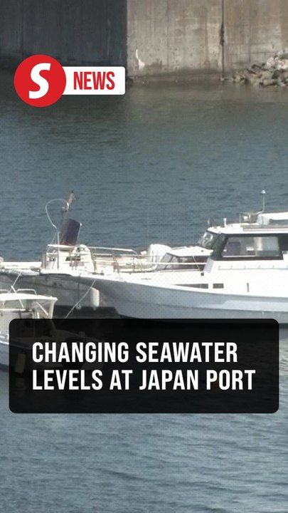 TIMELAPSE: Changing seawater levels at tsunami-hit Japan port ...