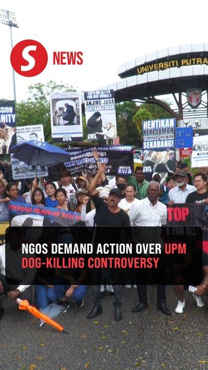 Peka mulls MACC report over alleged fund misuse in UPM dog-culling case ...