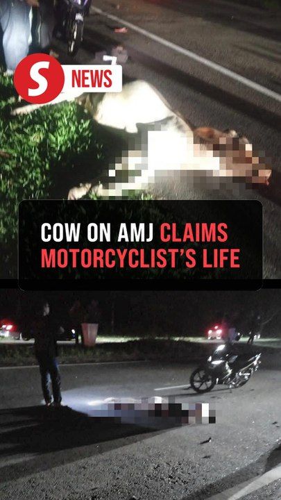 One dead, one hurt after motorcycles hit cow on AMJ Highway | TheStarTV.com