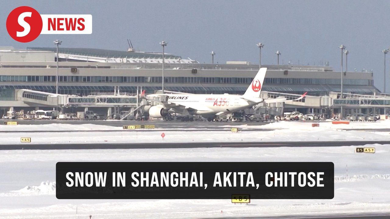 Cold wave brings rare snowfall to Shanghai, disrupts Japan's flights ...