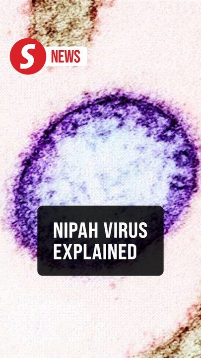 EXPLAINER: What to know about Nipah virus after cases emerge in India ...